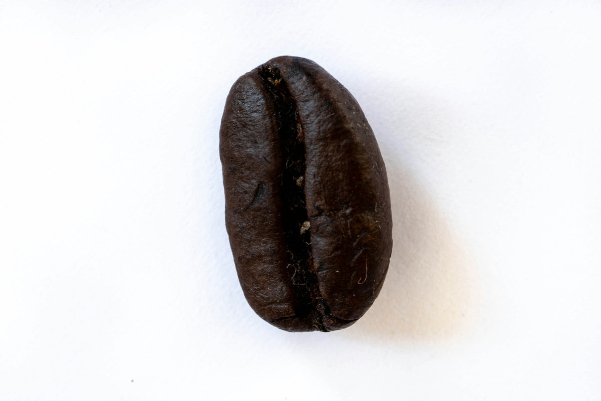Is Your Coffee Stale? Here’s How Buying Specialty Coffee Beans Online ...